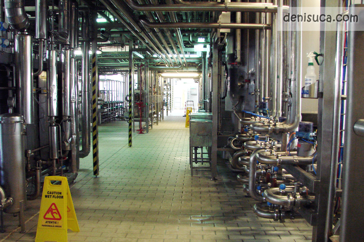 vizita-la-fabrica-danone-25 – Denisa Lala