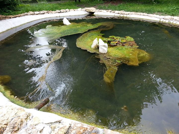 Vizită în HD: Arboretumul [Parcul Dendrologic] din Simeria – Denisa Bârgău