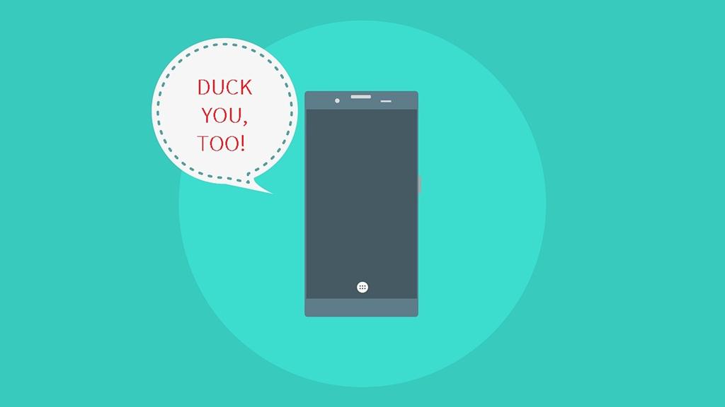 duck you too (Copy) – Denisa Lala