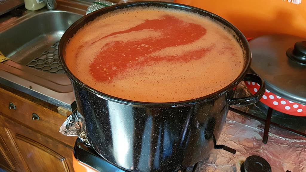 fierberea sucului de rosii – Denisa Lala