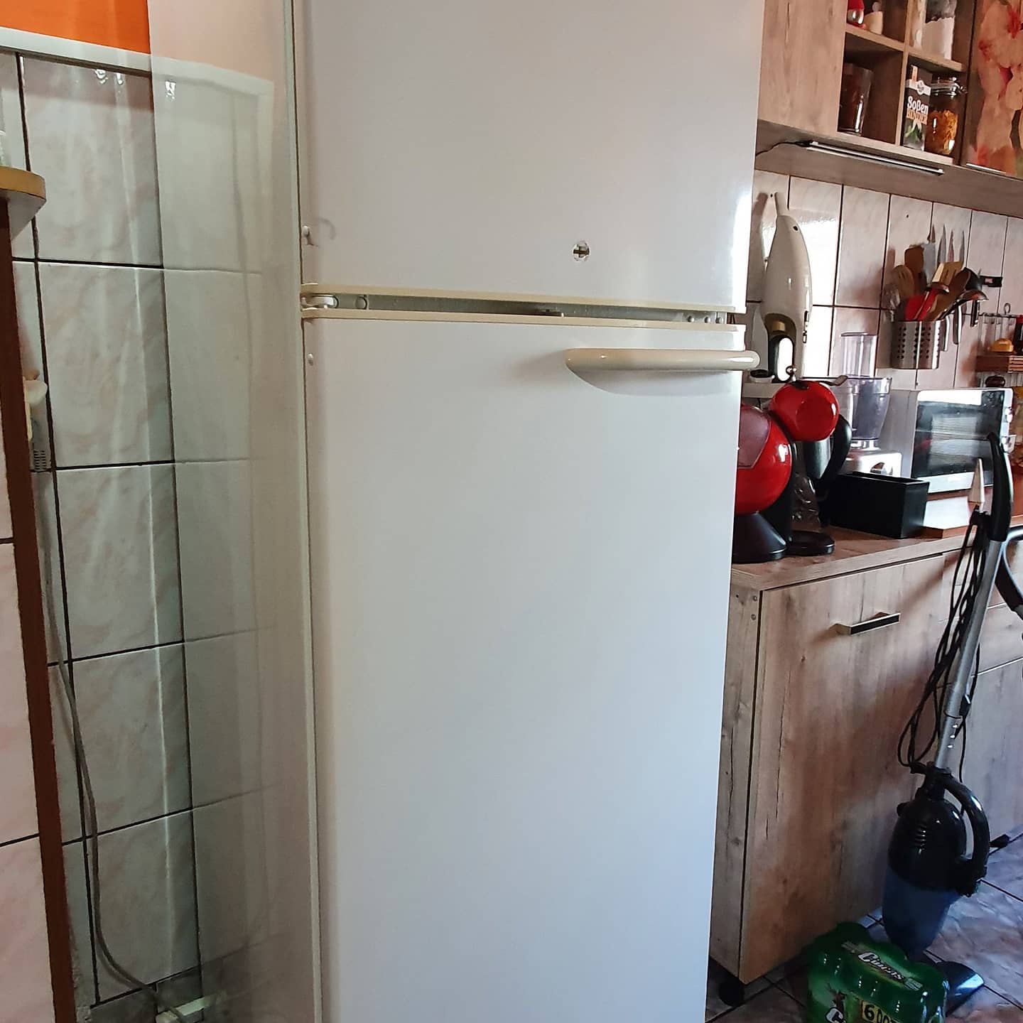 frigiderul inainte – Denisa Lala